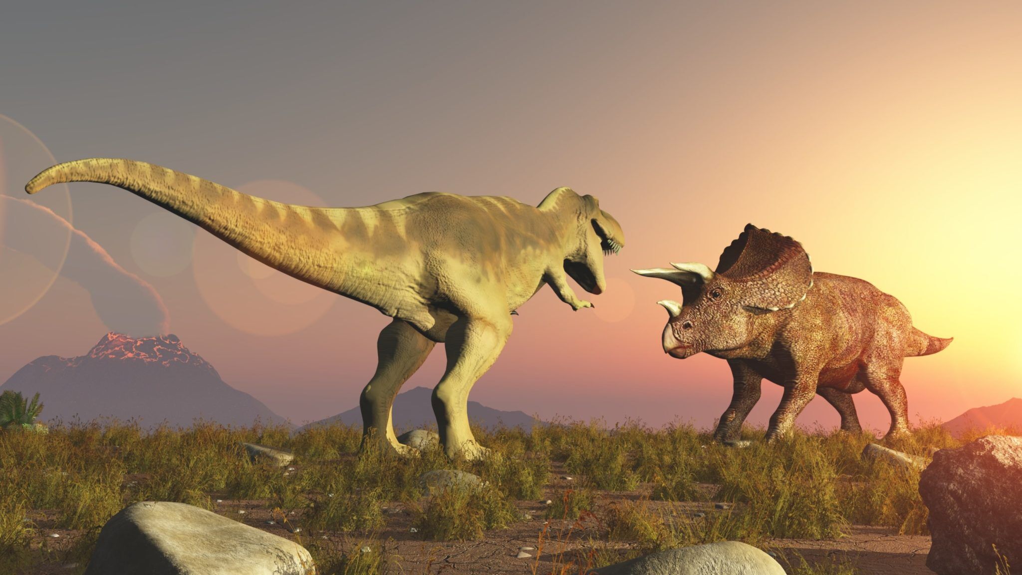 10 Fun Facts about Triceratops - Little Legends Hub